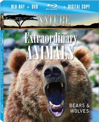 Nature: Extraordinary Animals: Bears and Wolves Blu-ray