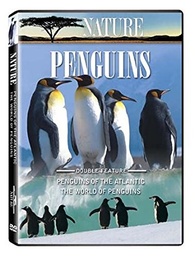 Nature: Penguins DVD