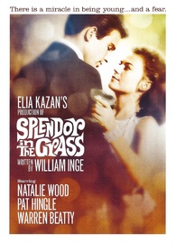 Splendor in the Grass DVD Release Date February 3, 2009