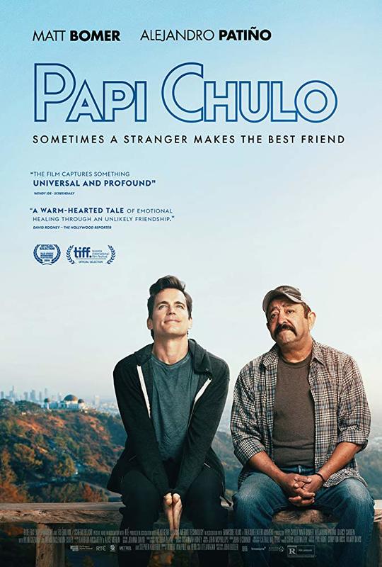 Papi Chulo (2018)