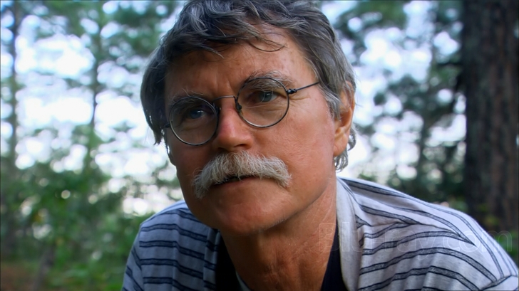 NOVA: Incredible Journey of the Butterflies Blu-ray