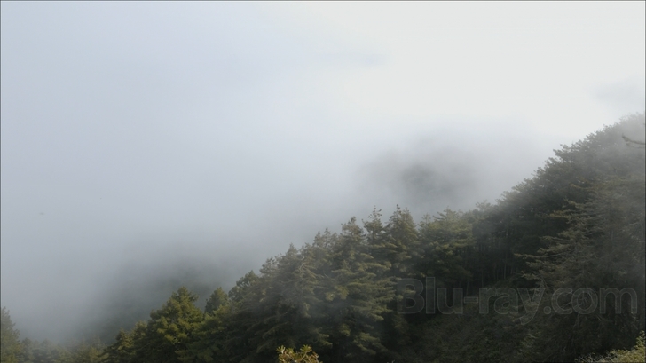 Big Sur: Wild California Blu-ray